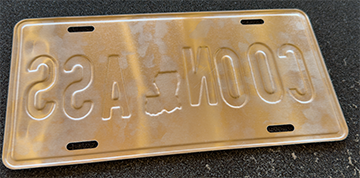 REGISTERED COONASS LICENSE PLATE – Jamie Bergeron Gear